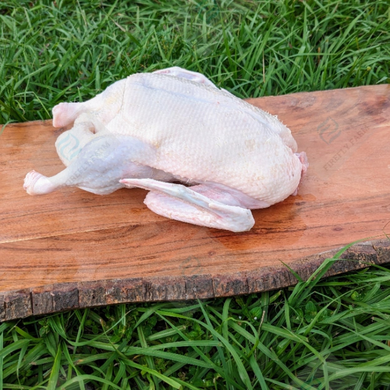 Pasture Raised Pekin Duck | Firefly Farm - Pasture Raised Poultry, Pork ...